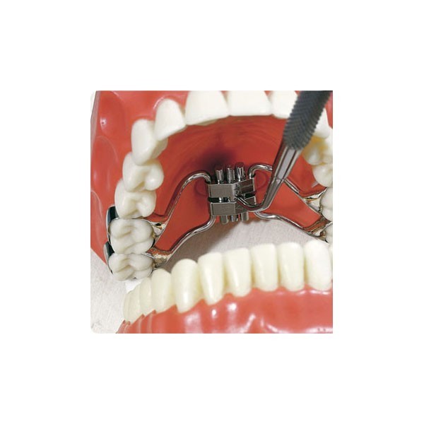 Comprar INSTRUMENTO PARA ACTIVACIÓN ENDORAL - KatiaDental.com, venta y ...